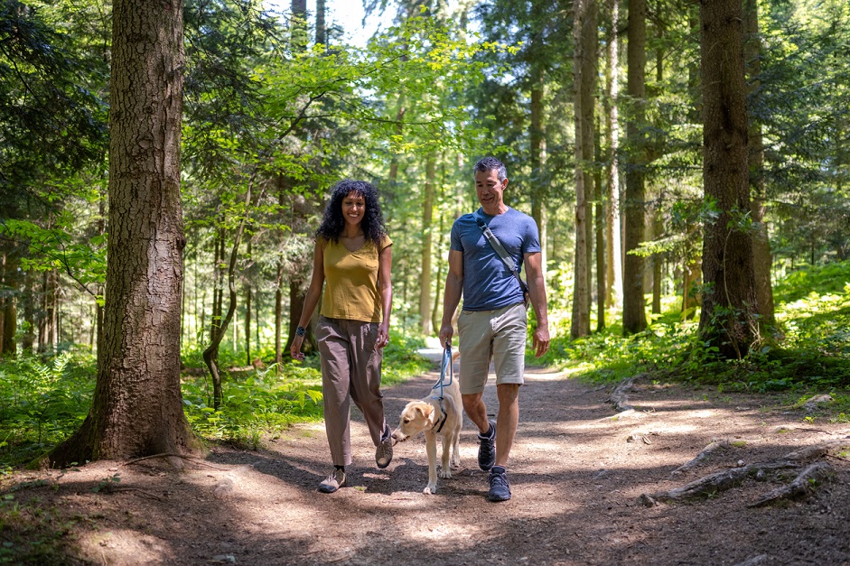 Take A Walk In The Park Day March 30 take-a-walk-in-the-park-day-march-30